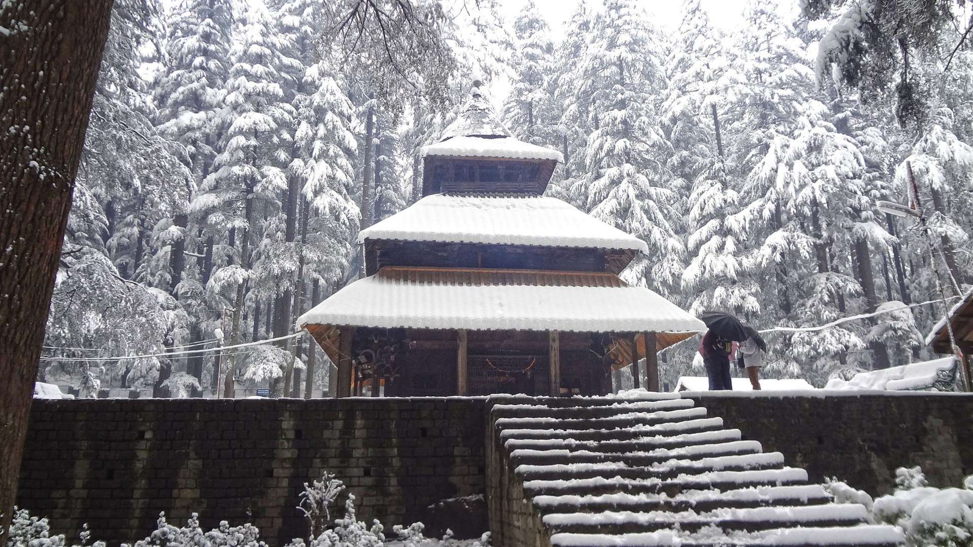 Home - Discover Kullu Manali